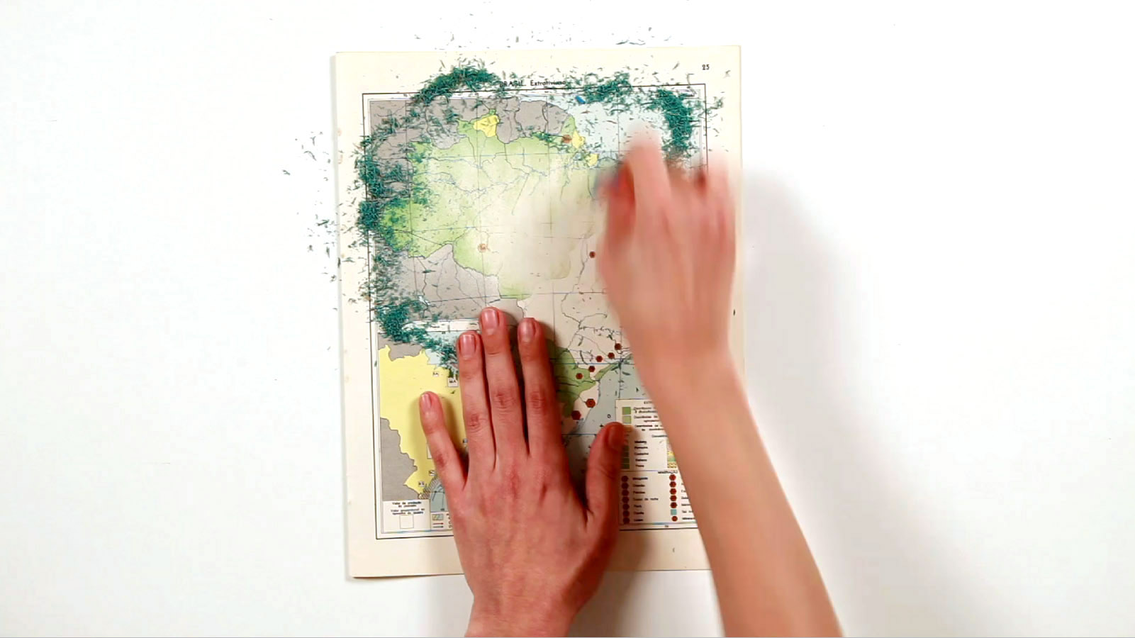 Brazil. Extractivism - Marina Camargo