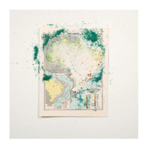 BRAZIL. EXTRACTIVISM - Marina Camargo