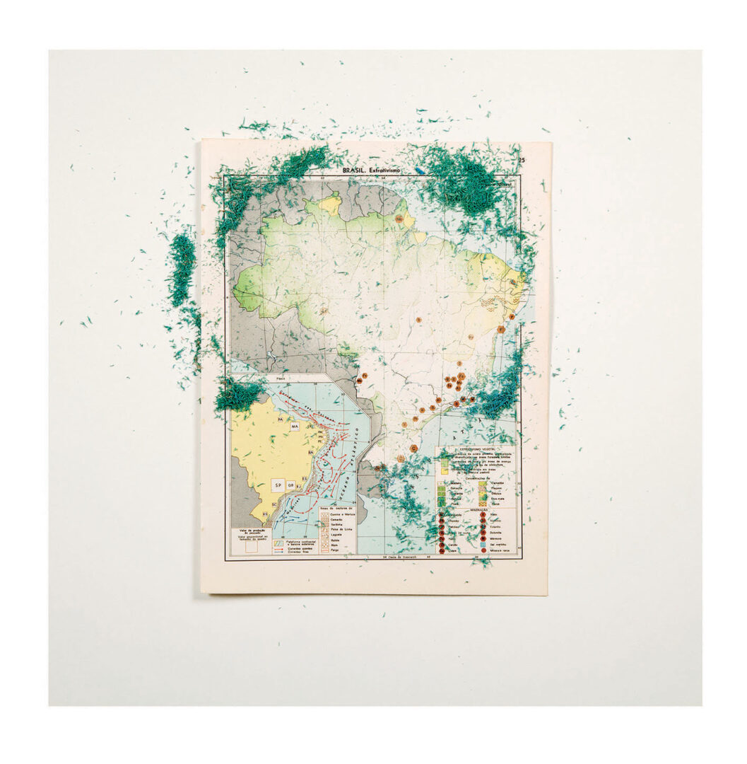 BRAZIL. EXTRACTIVISM - Marina Camargo