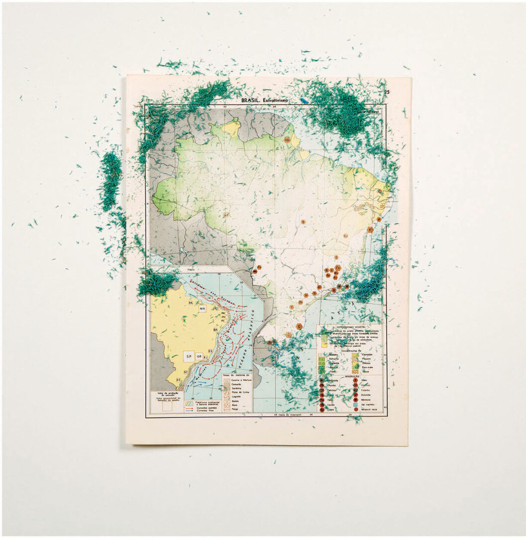 Brasil. Extrativismo - Marina Camargo